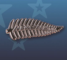 New Zealand Fern Lapel Badges - 163B SET of 5 – New Zealand Souvenirs ...